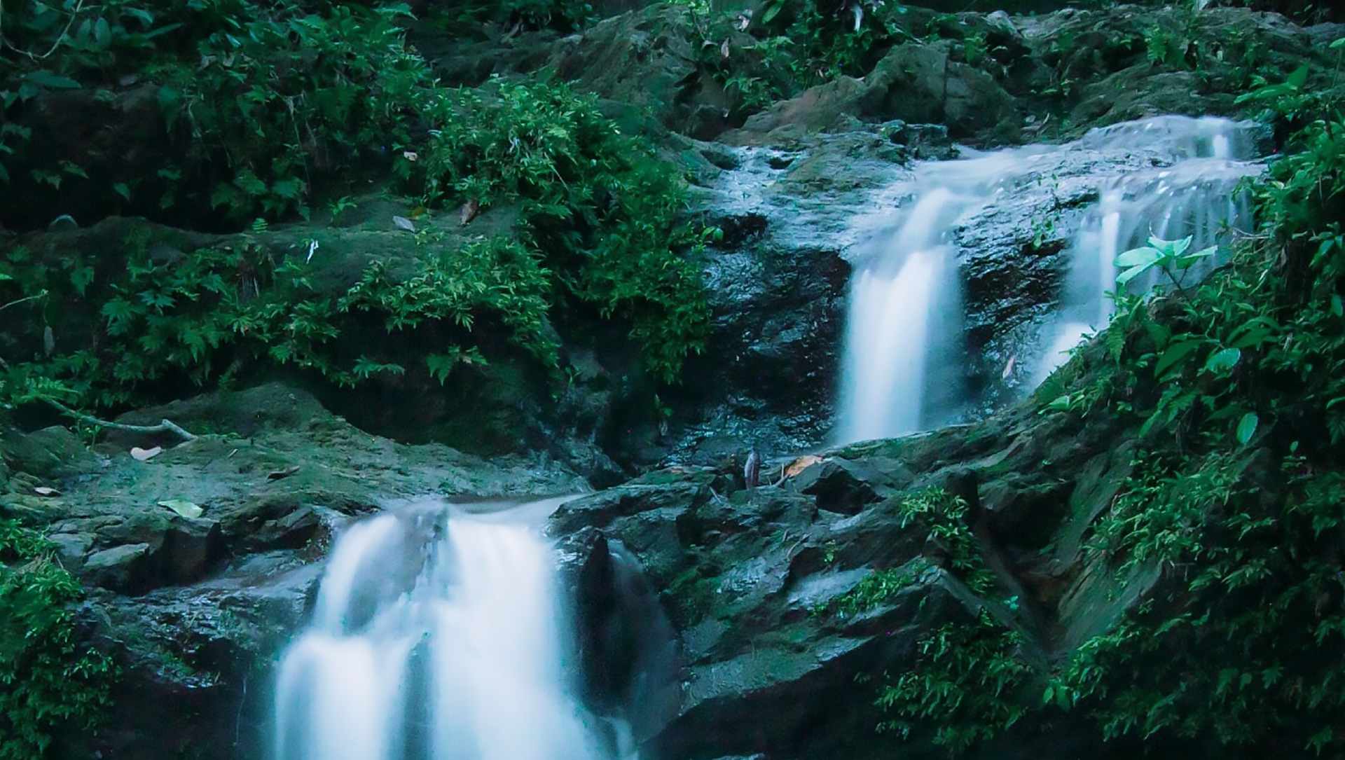 Guía turístico local - Morona Santiago